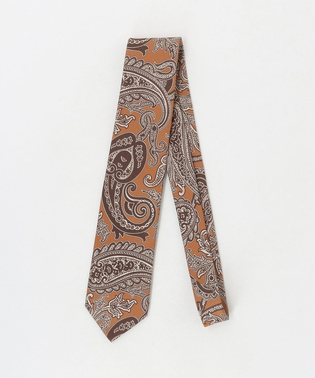 [FR A NCO B A SSI] Paisley Print Necktie - UNITED ARROWS